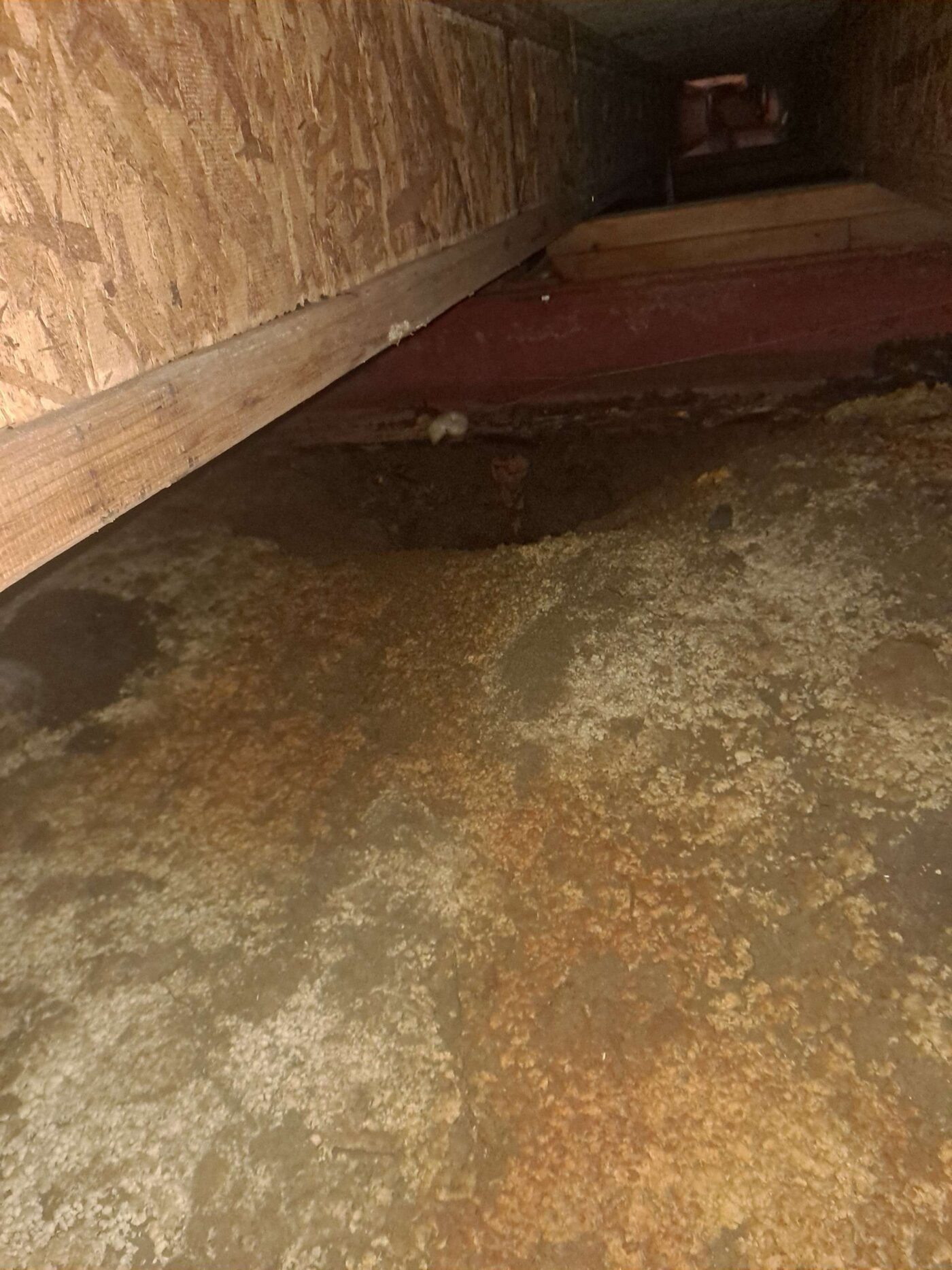 Crawl Space Mold | Colorado | HomeStrong