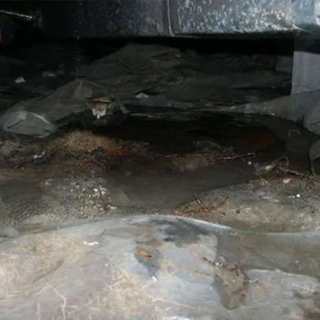 Crawl Space Repair | Colorado | HomeStrong